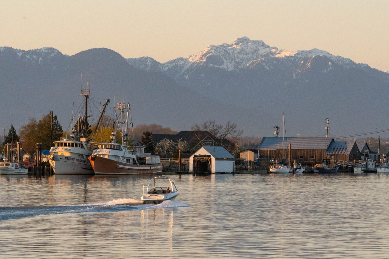 Dinner Menu | Sharkey's
